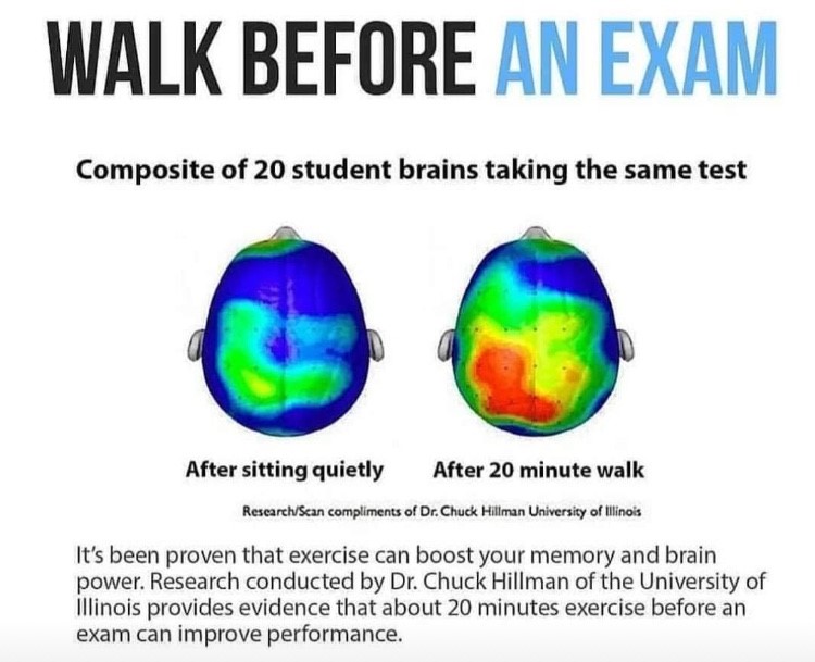Test Taking Strategies & Test Anxiety Information and Resources | Ms ...